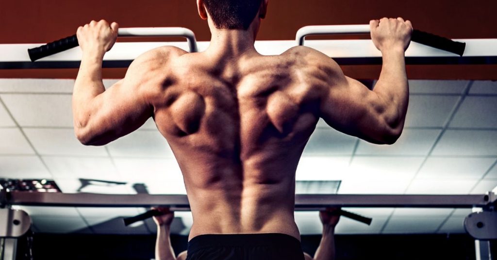Isometric Pull Ups to Get the "V-Shape" | Free Muscle Building Tips