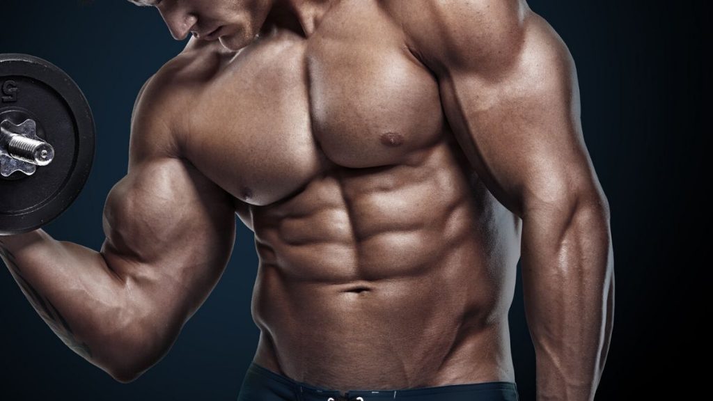 Athlean X Max Size Review Free Muscle Building Tips